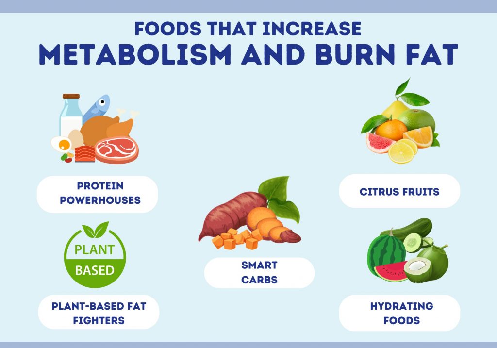 Foods that Increase Metabolism and Burn Fat | Eureka Wellness